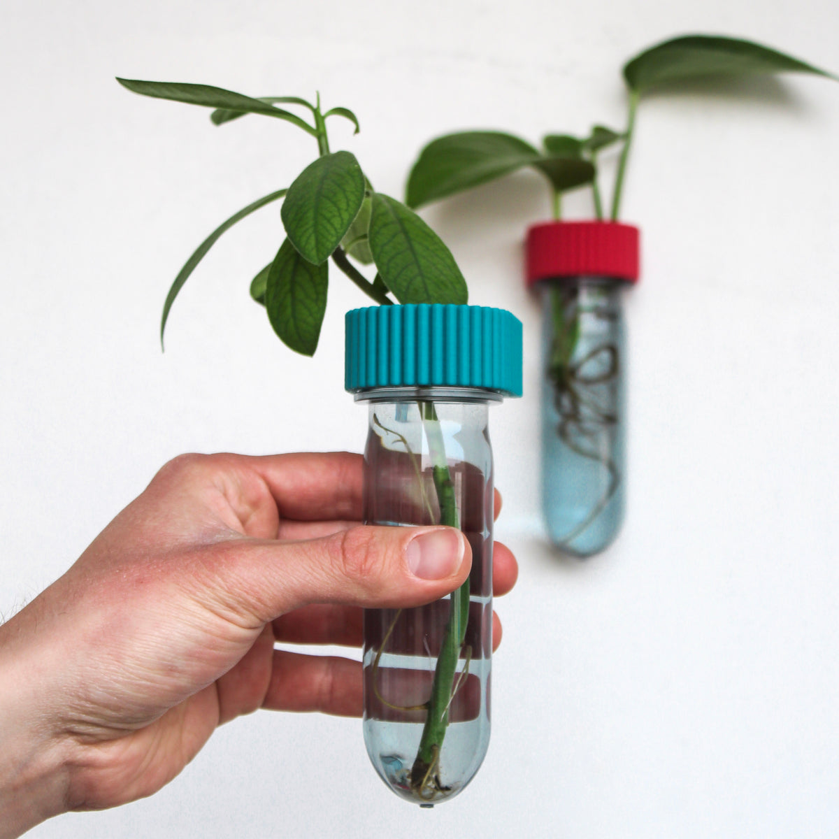 Plant Rooting Vessel | Roota – Asufa com